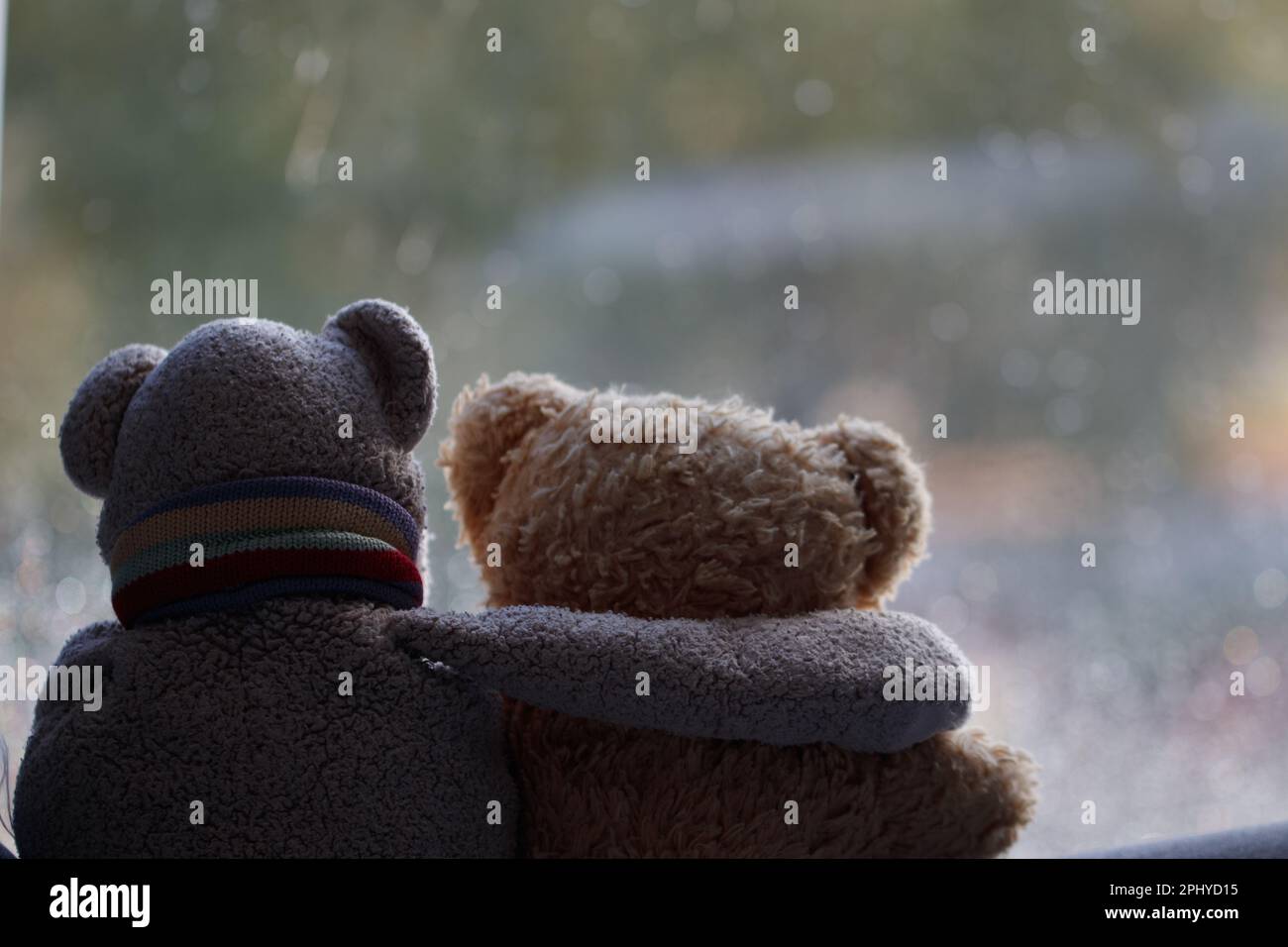 A pair of plush teddy bears cuddled together in front of an open window ...