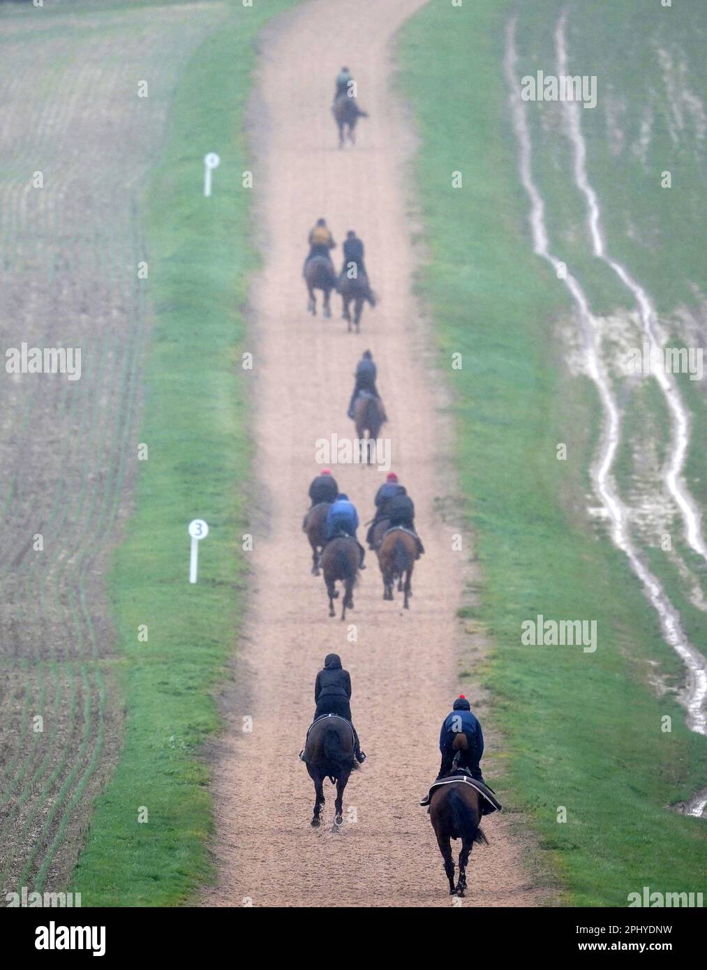 On the gallops during stable visit at seven barrows stables hi-res ...