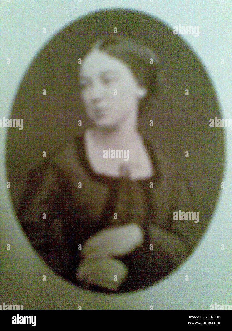 Fox educational image hi-res stock photography and images - Alamy