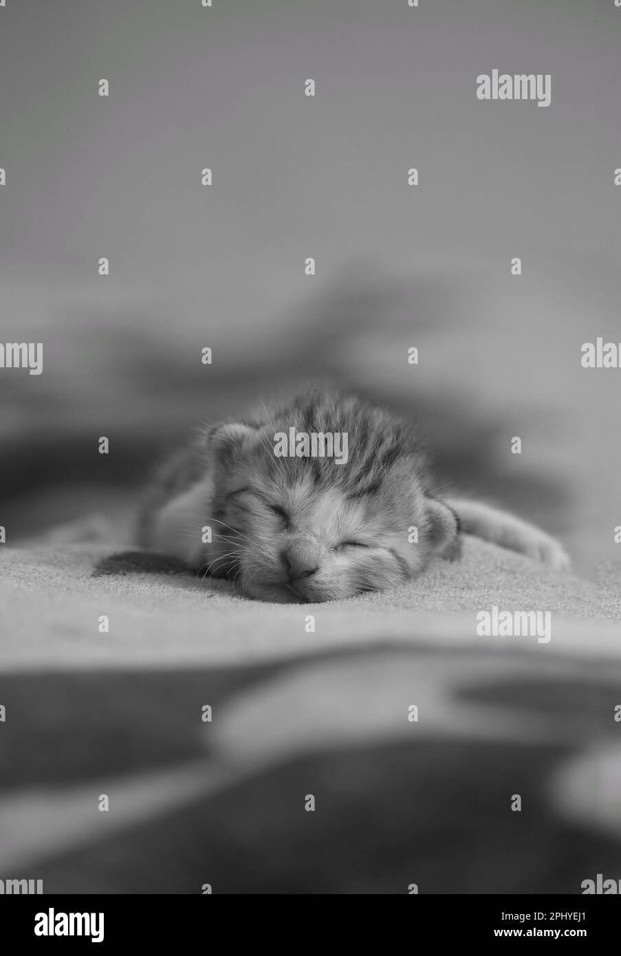 First india on black hi-res stock photography and images - Alamy