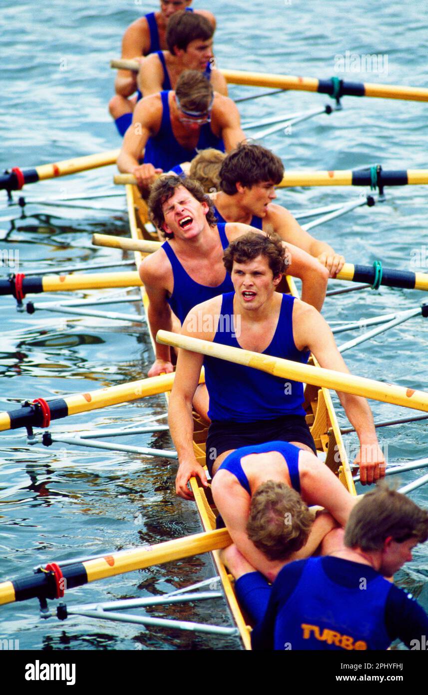 Henley Royal Regatta rowing event on the River Thames Stock Photo - Alamy