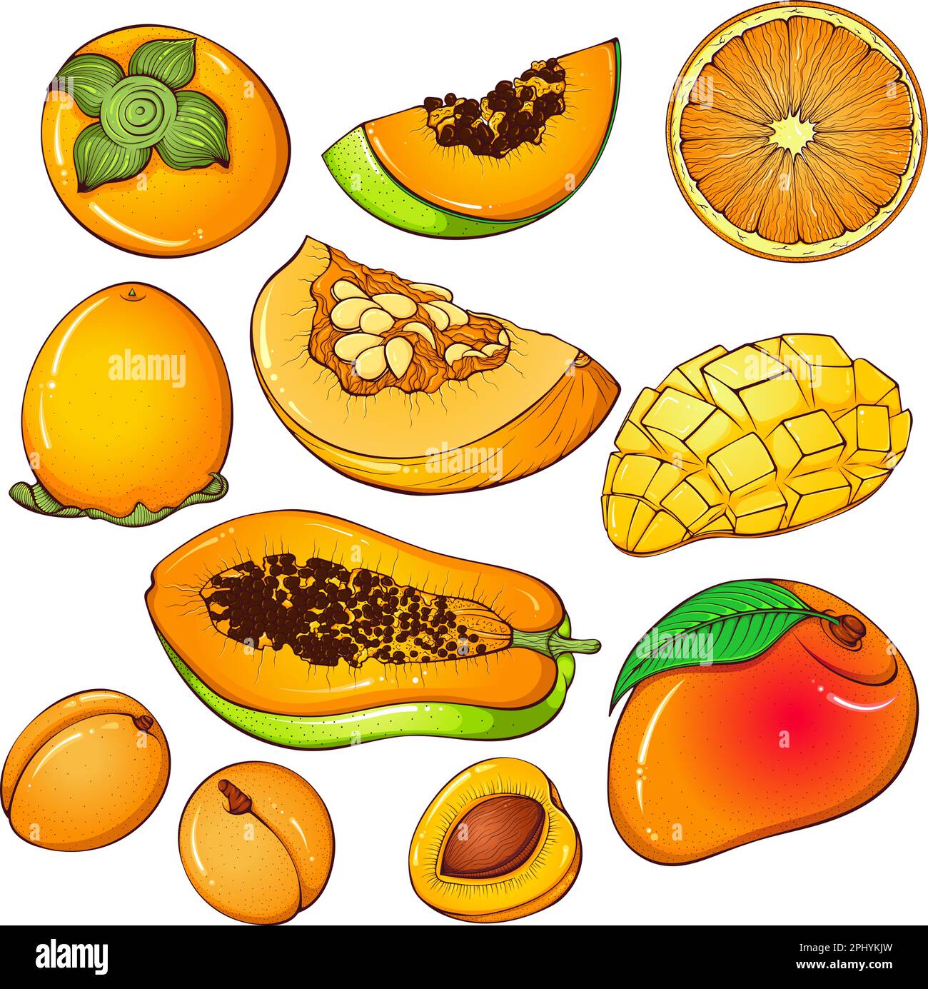 Set of fruits in orange color Stock Vector Image & Art - Alamy