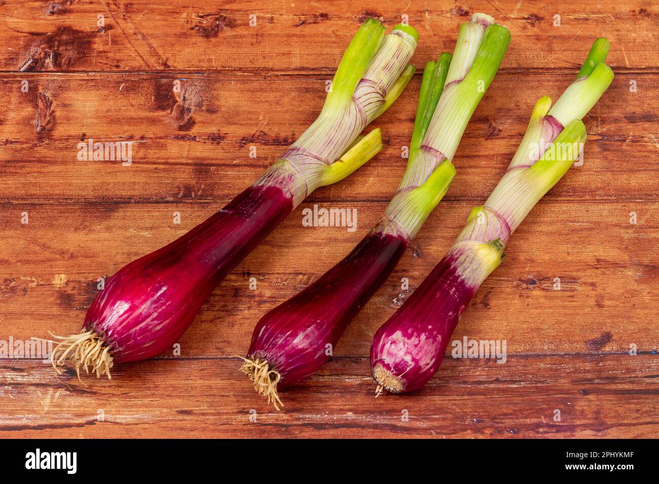 Three Red spring onions Stock Photo - Alamy