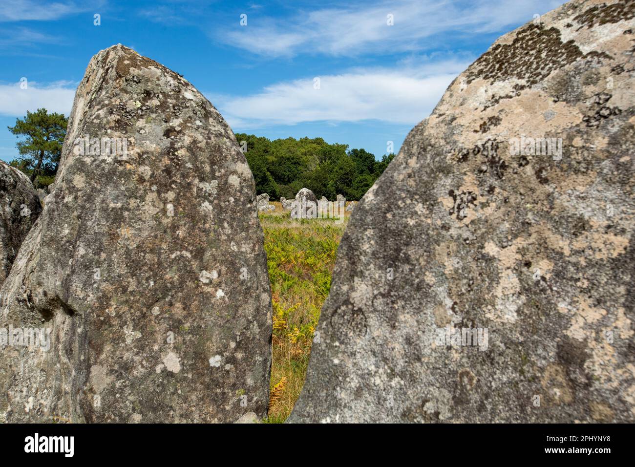 Pre celtic standing granite stones or menhirs in Carnac Stock Photo - Alamy