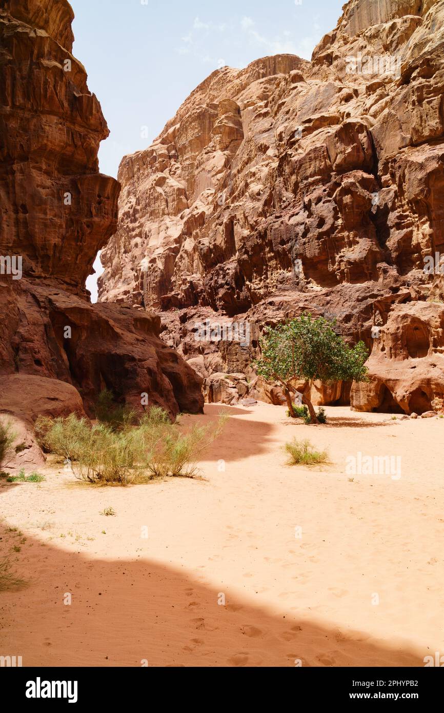 Majestic view of the Wadi Rum desert, Jordan, The Valley of the Moon ...