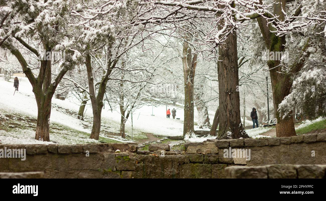 Falling snow in empty park hi-res stock photography and images - Alamy