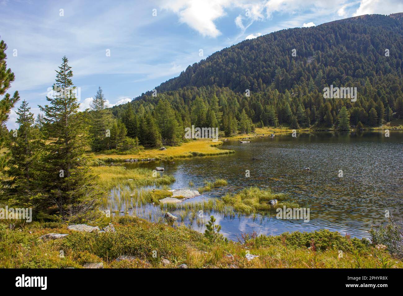 Landscape in Austian Alps, Steiermark, Austria Stock Photo - Alamy