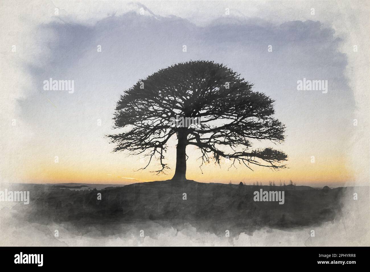 A digital watercolor painting of a lone tree at sunrise on Grindon Moor ...