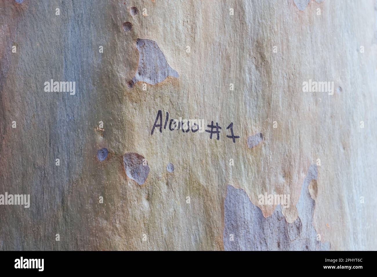 Melbourne, Victoria, Australia. 30th Mar, 2023. MELBOURNE, AUSTRALIA ...