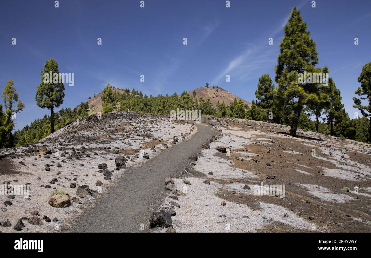 La Palma, landscapes along the long-range popular hiking route Ruta de ...