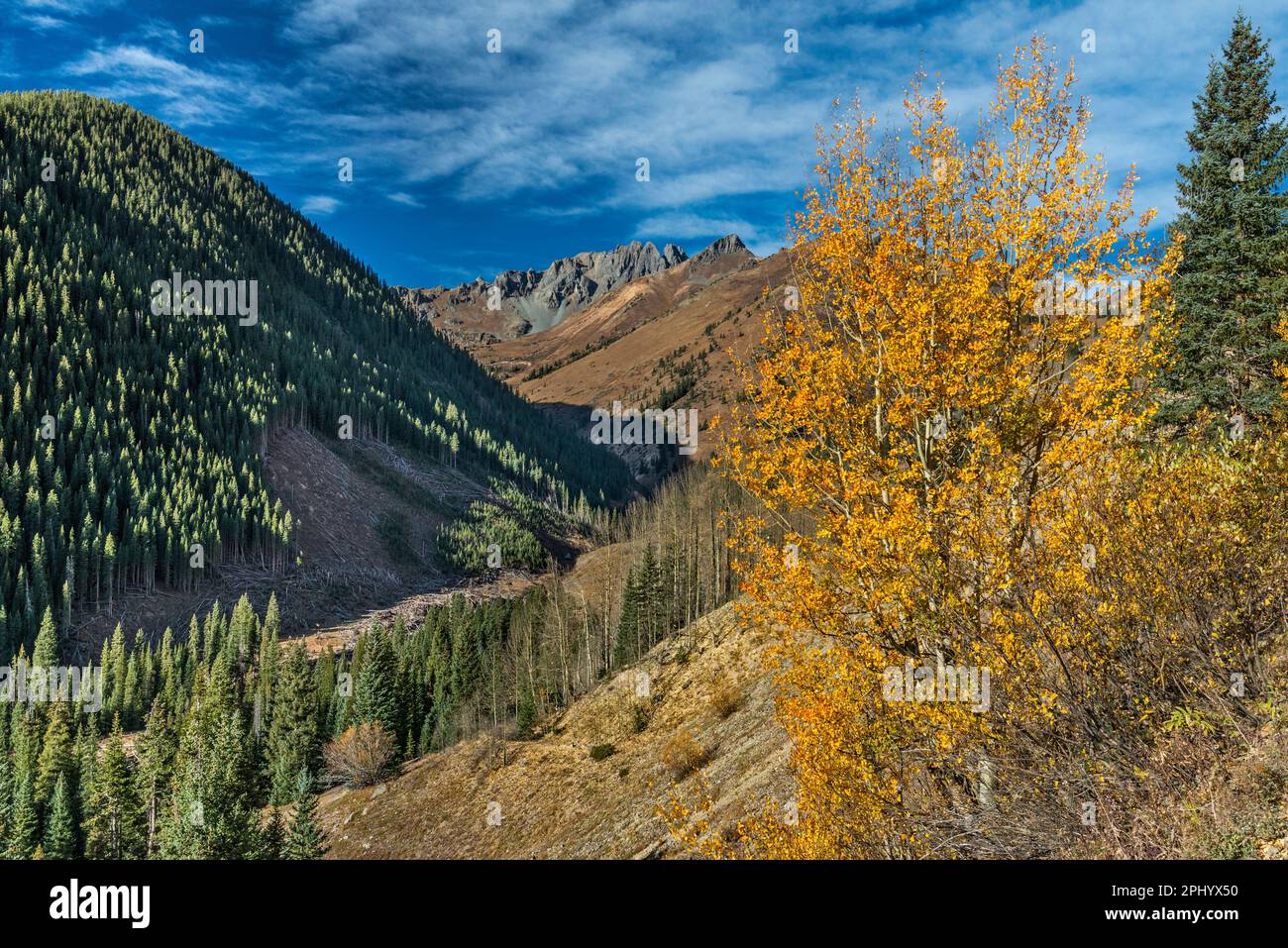 Unnamed peaks over Paradise Basin, view from Ophir Pass Road, San Juan ...