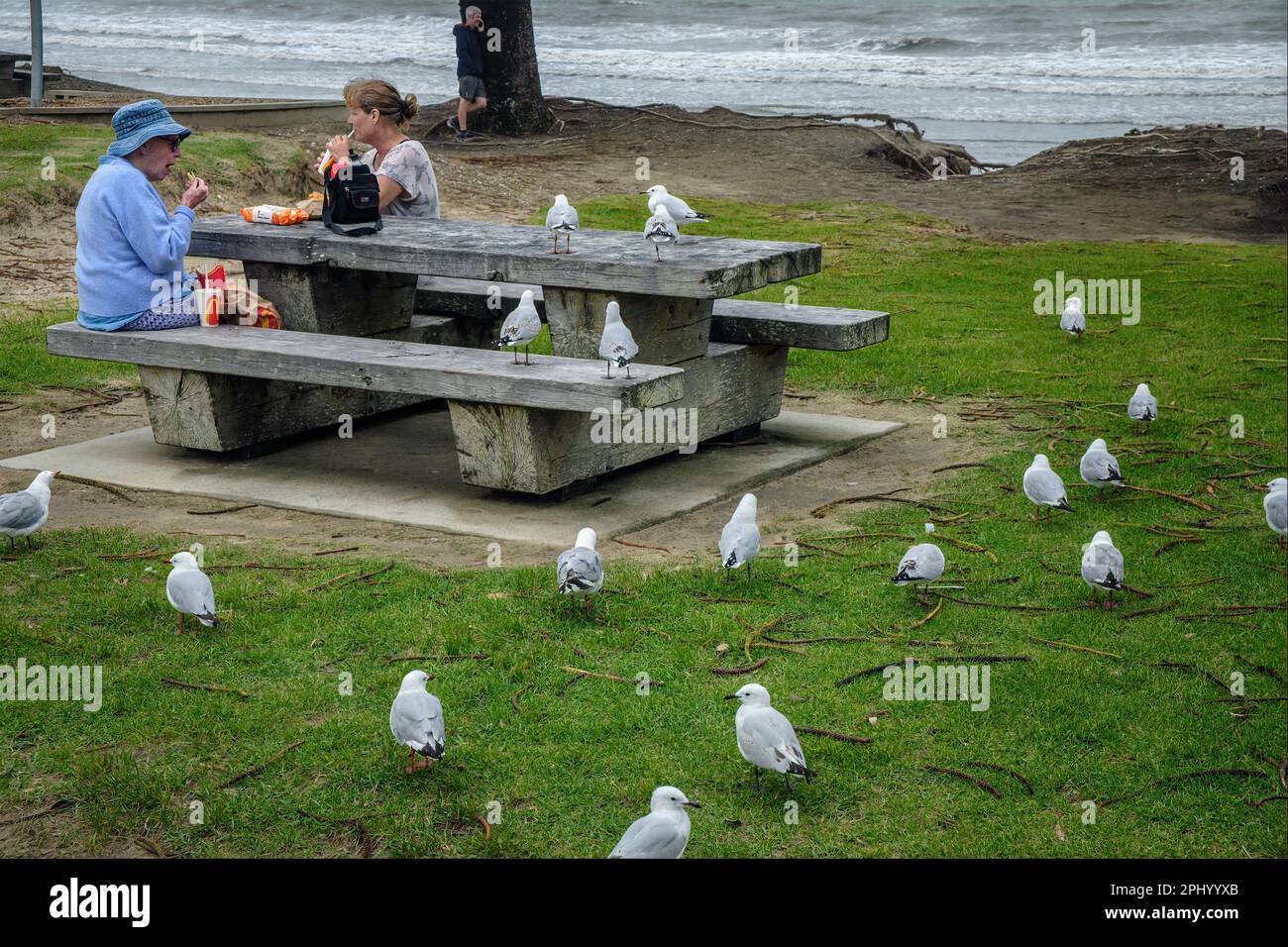 Orewa auckland hi-res stock photography and images - Alamy