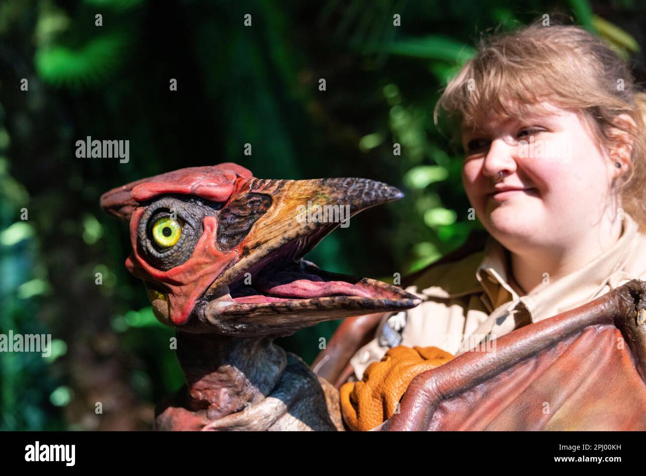 Cologne, Germany. 30th Mar, 2023. A pteranodon (winged and toothless ...