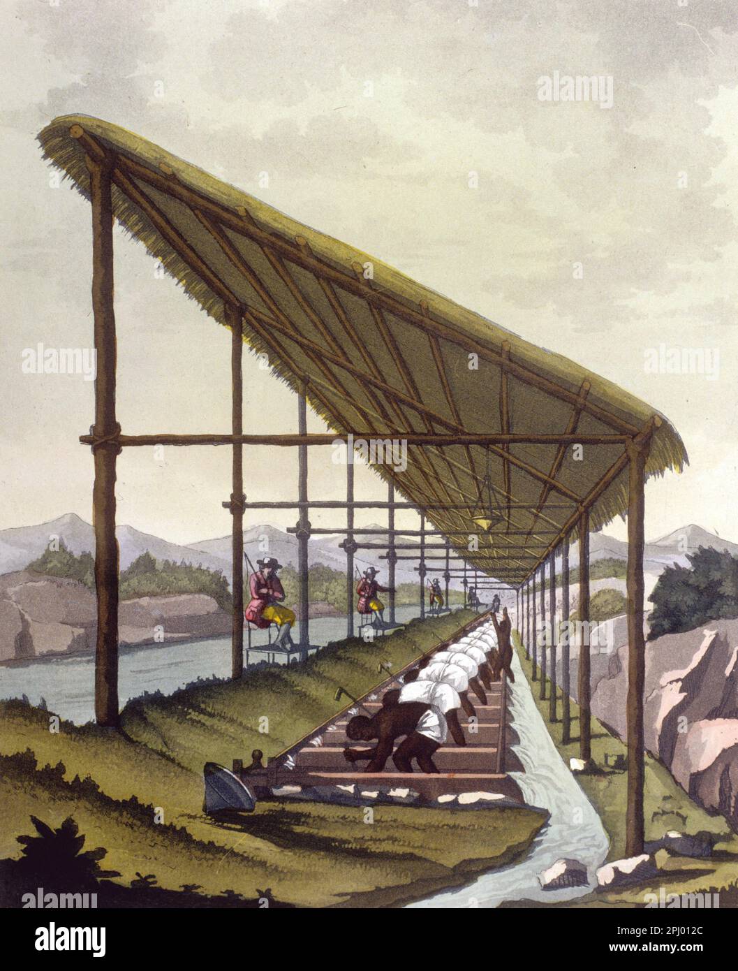 Slavery south america hi-res stock photography and images - Alamy