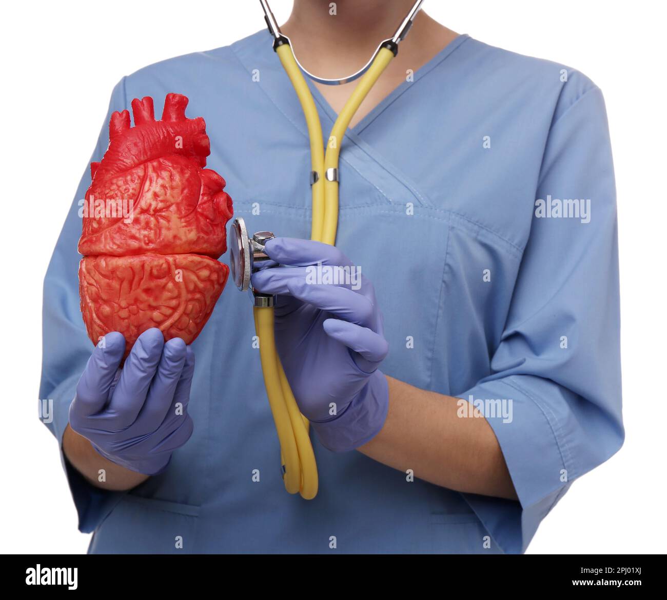 Doctor with stethoscope and model of heart on white background, closeup ...