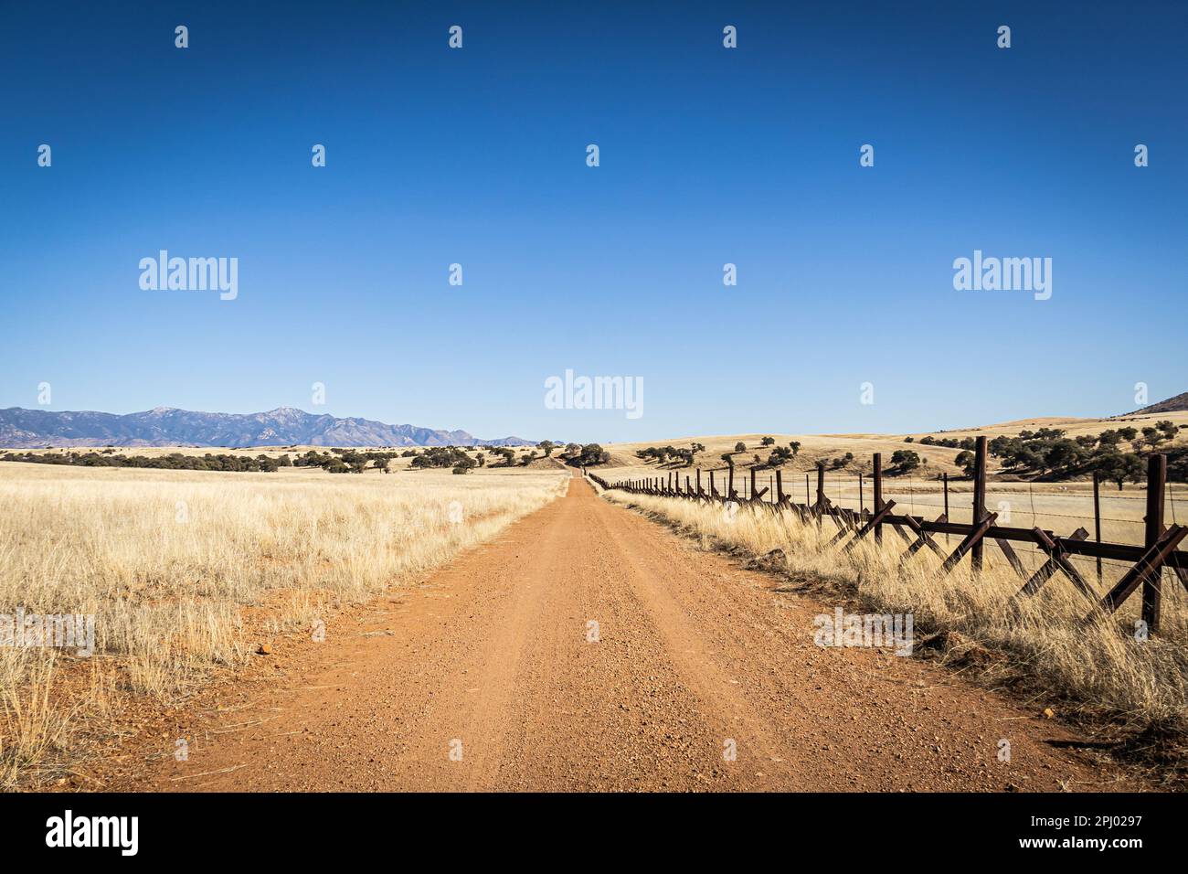 A lonely dirt road through the grasslands along the border between the ...