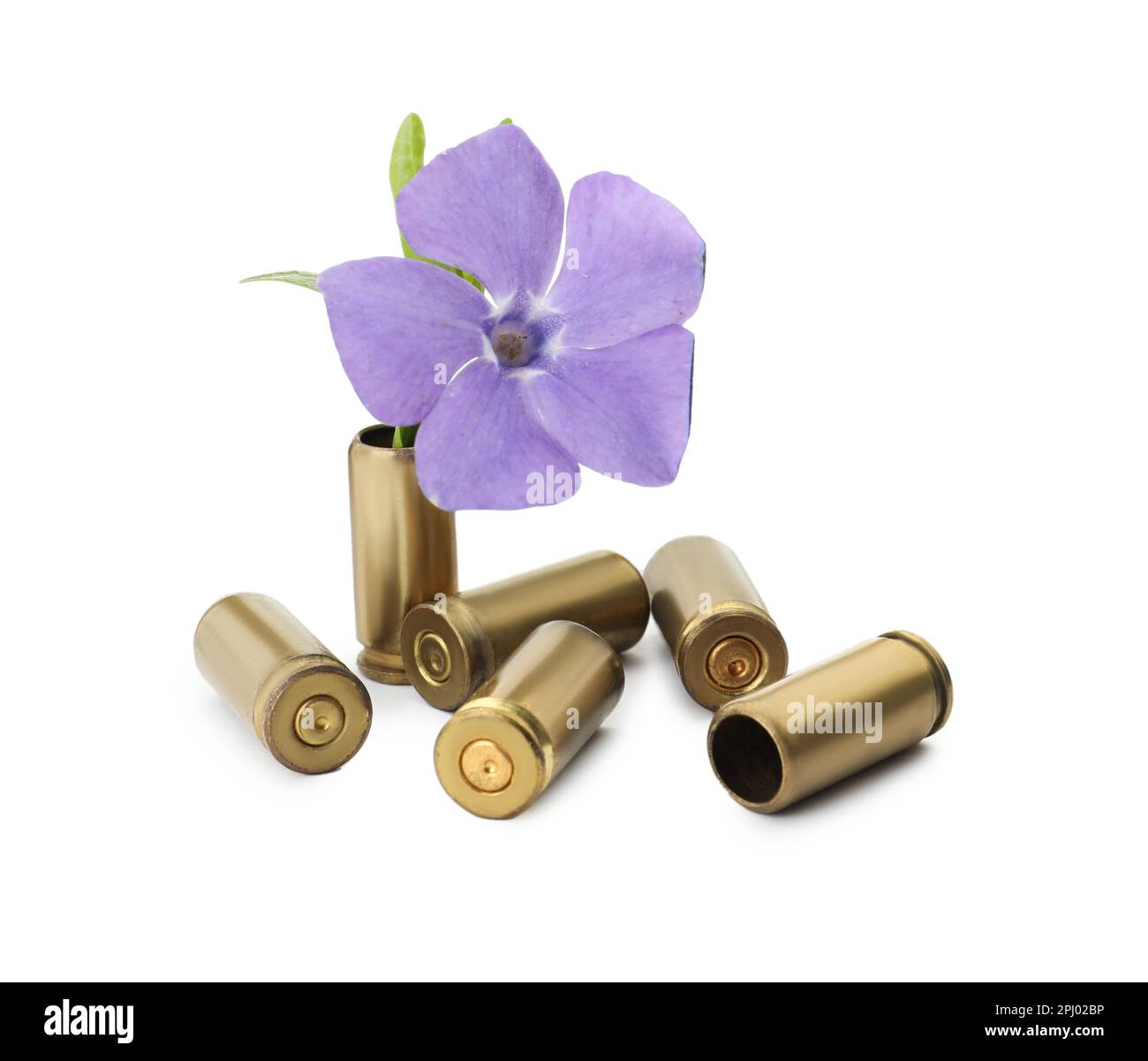 Bullet shells and beautiful flower on white background. Peace instead ...
