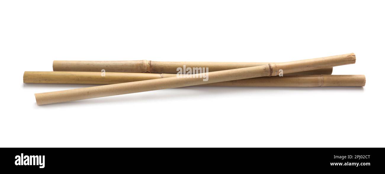 Three dry bamboo sticks on white background Stock Photo - Alamy