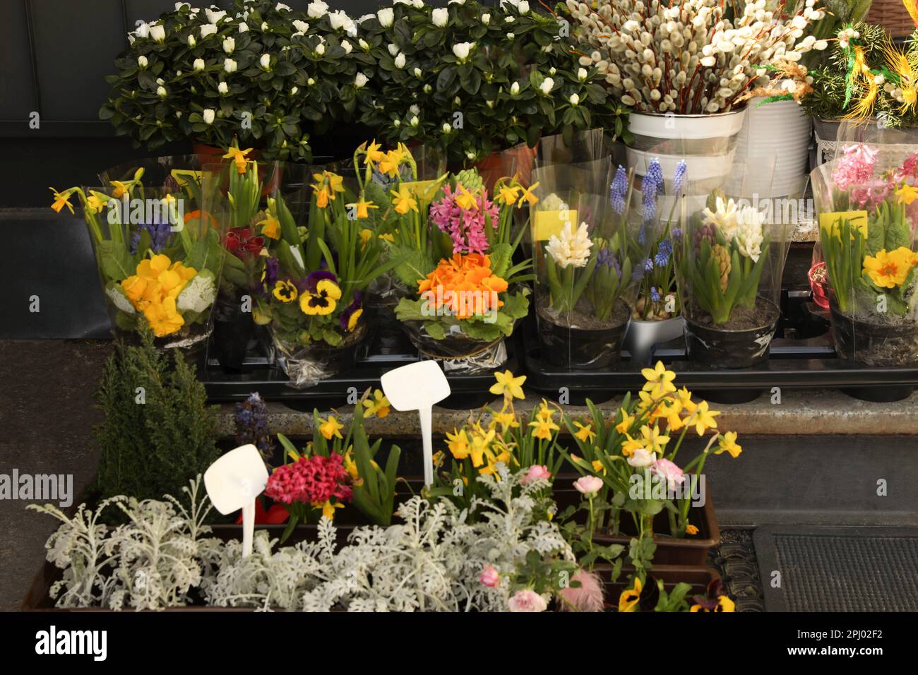 Many different beautiful plants at outdoor flower shop Stock Photo - Alamy