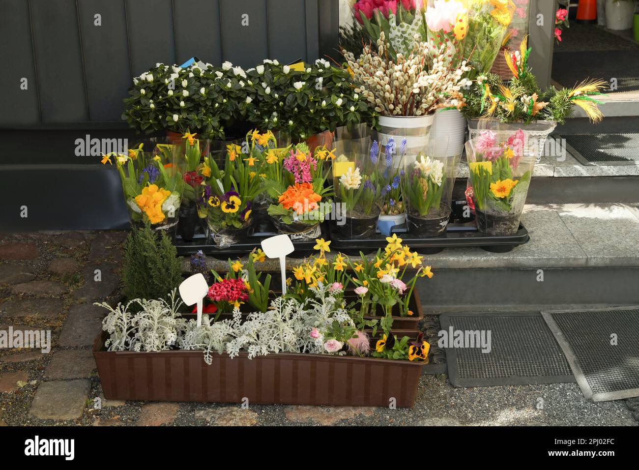 Many different beautiful plants at outdoor flower shop Stock Photo - Alamy