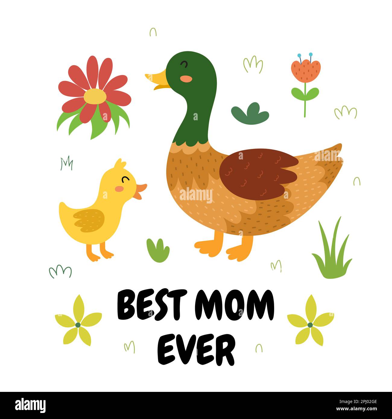 Best duck hi-res stock photography and images - Alamy