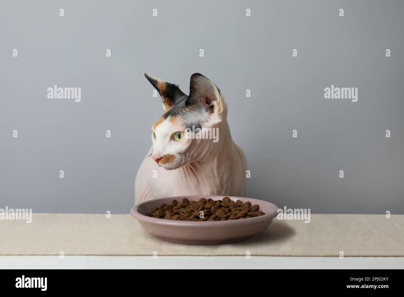 Healthy cat kibble hi-res stock photography and images - Alamy