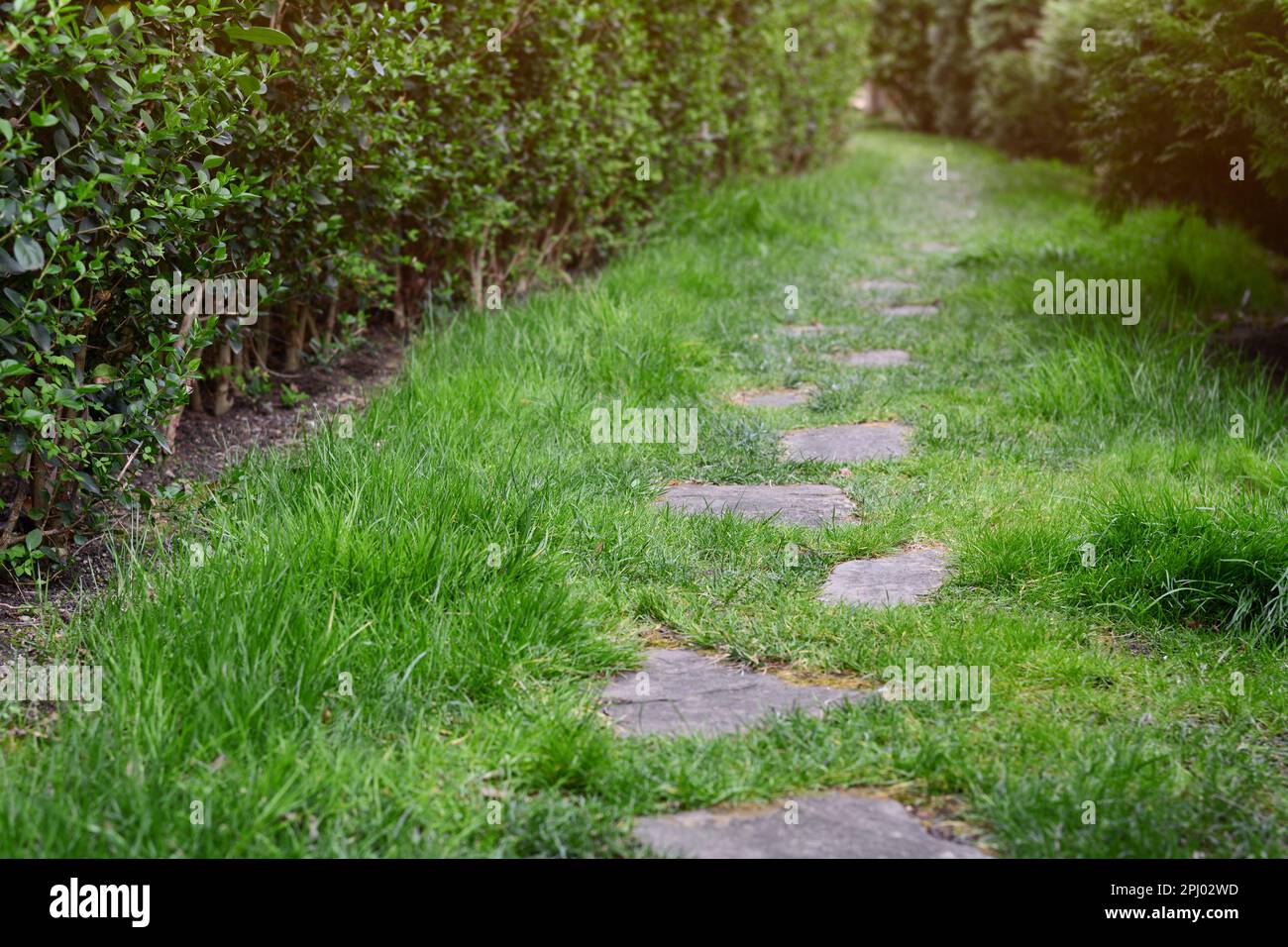 View of stone pathway and green lawn in park Stock Photo - Alamy