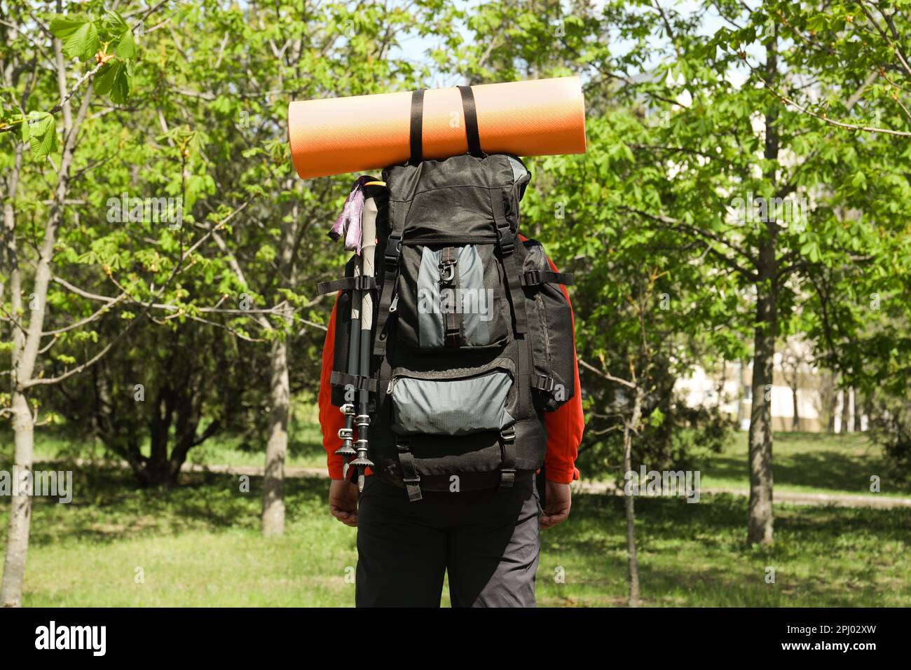 Hiker with backpack ready for journey in park, back view Stock Photo ...