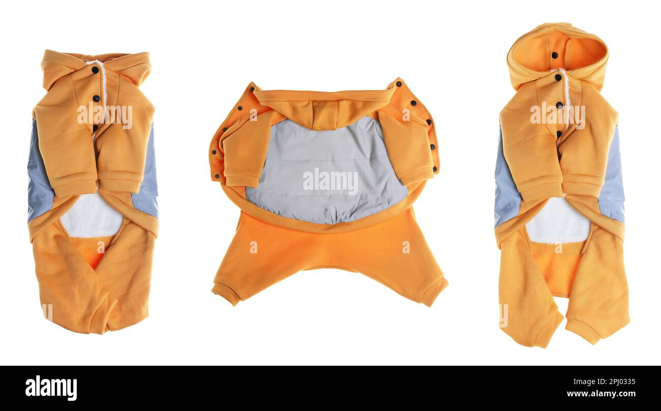 Stylish dog clothes on white background, collage. Banner design Stock ...