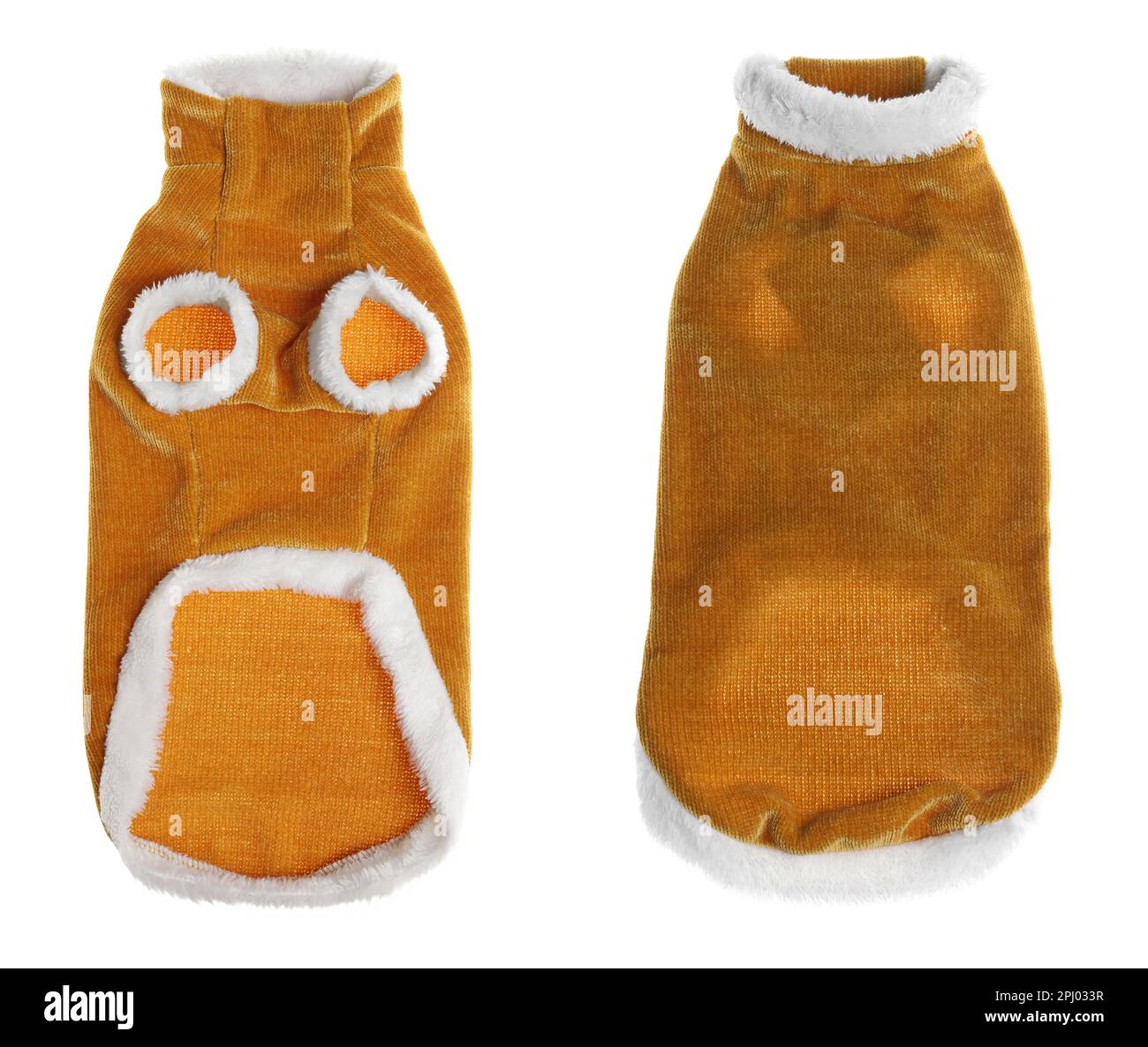 Stylish dog hi-res stock photography and images - Alamy