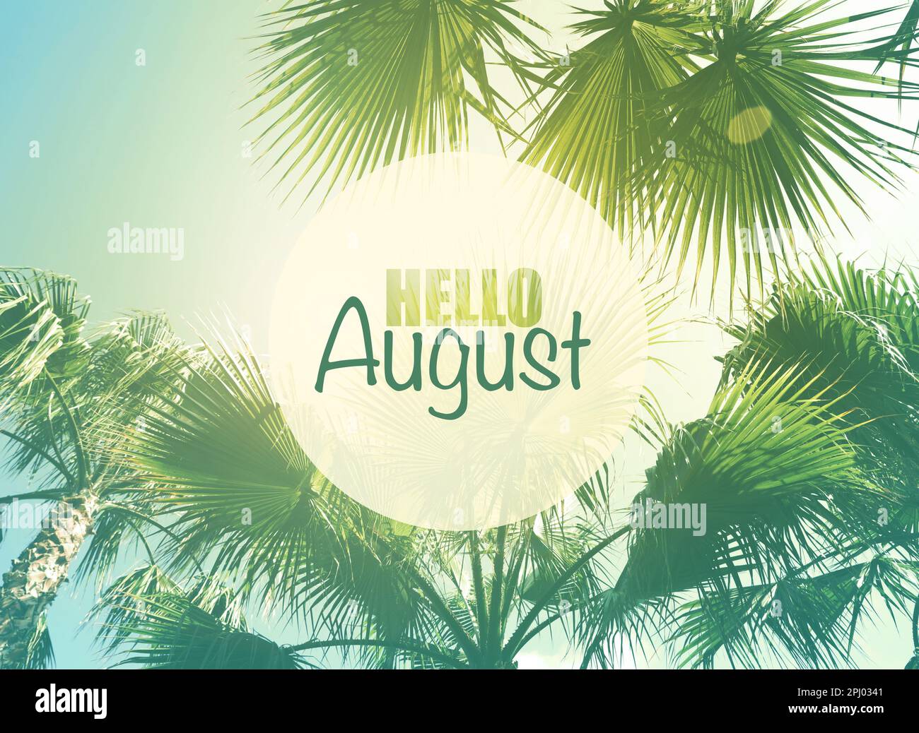 Hello august text on hi-res stock photography and images - Alamy