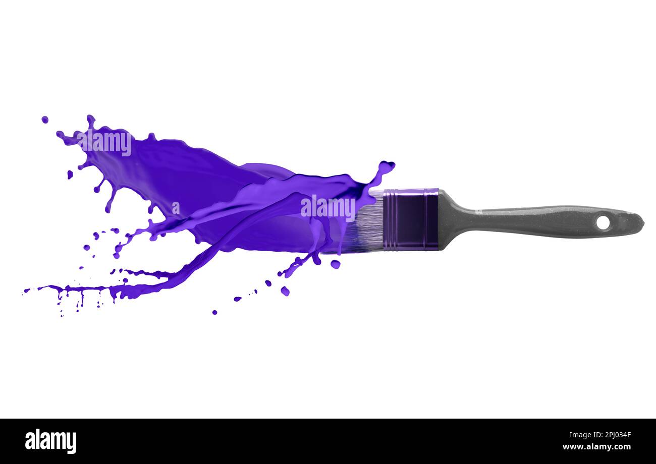 Brush and splashing violet paint on white background Stock Photo - Alamy