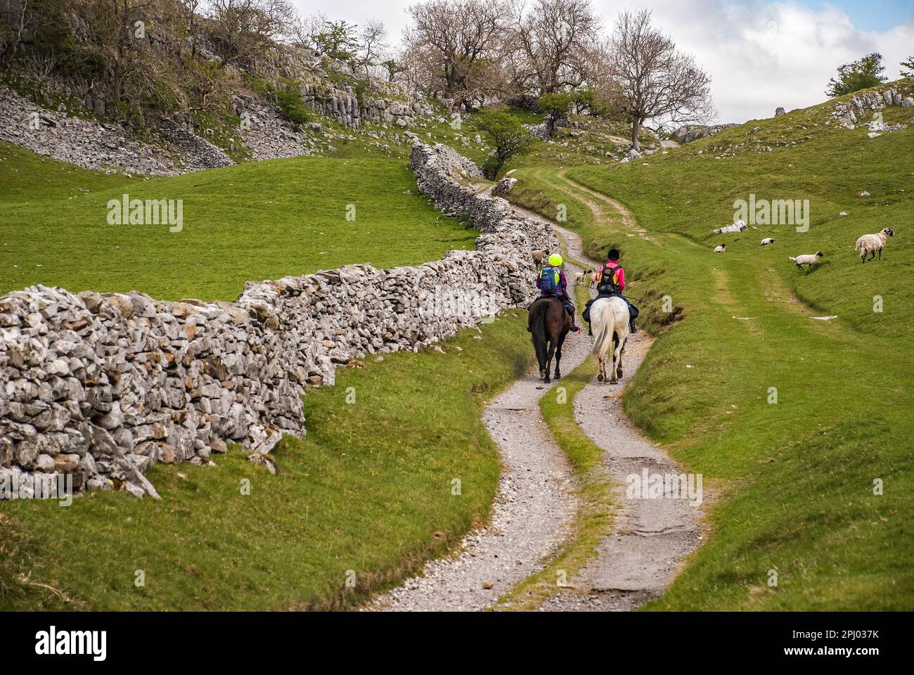 The busiest bridleway hi-res stock photography and images - Alamy