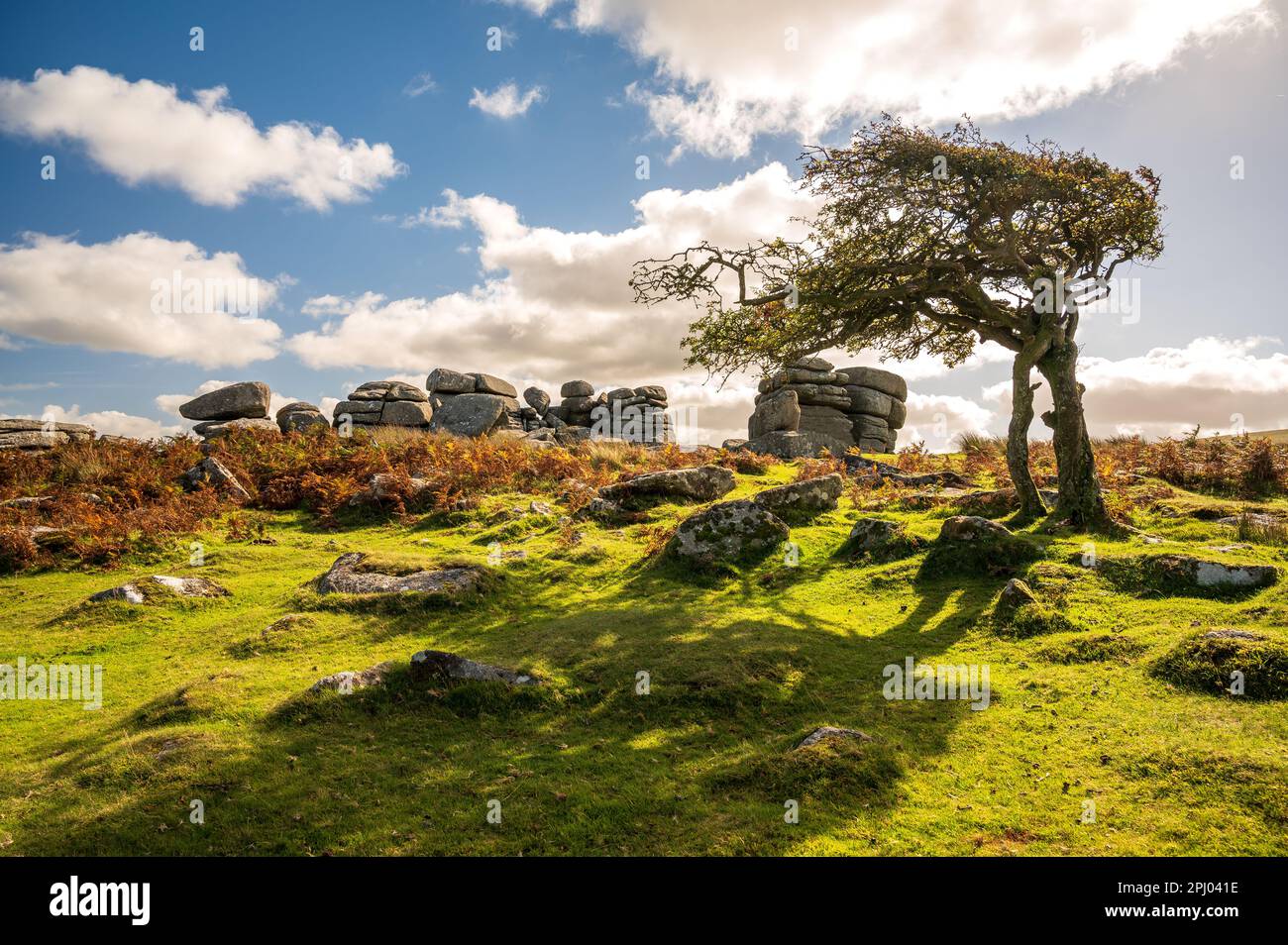 Combestone Tor, Dartmoor Stock Photo - Alamy