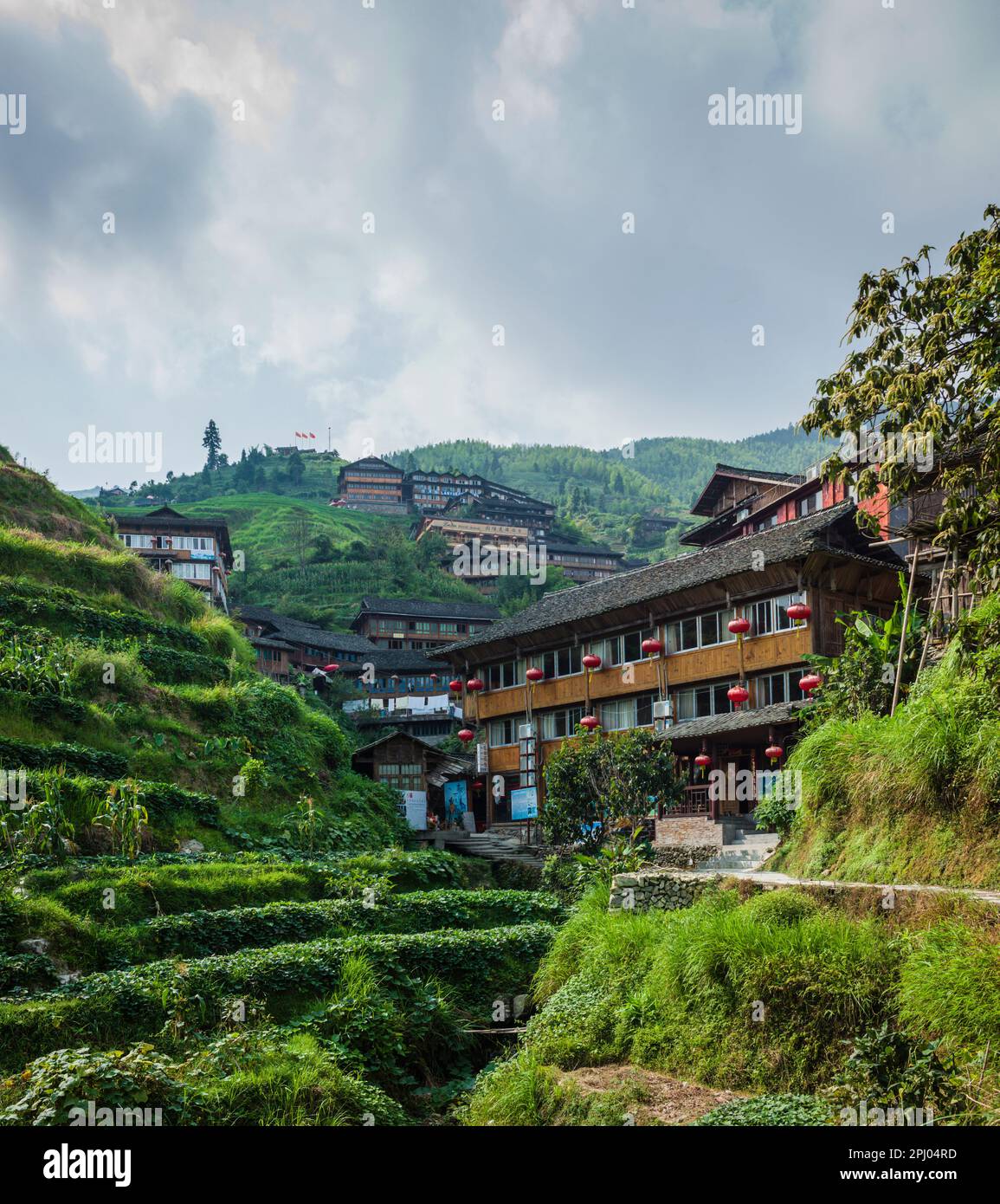 Tourist lodges, Rice Terrace, Dragon's Backbone, Longji, China Stock ...