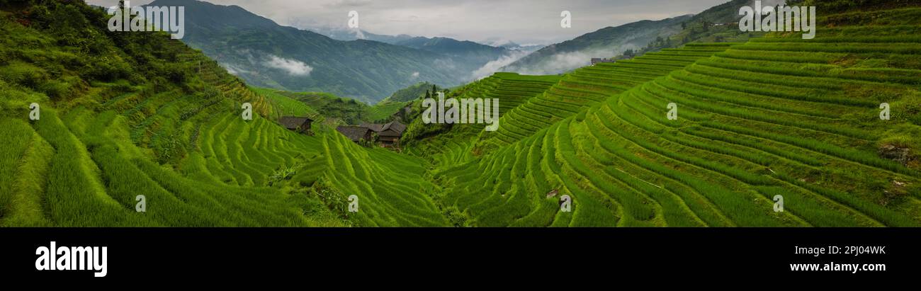 Rice Terrace, Dragon's Backbone, Longji, China Stock Photo - Alamy