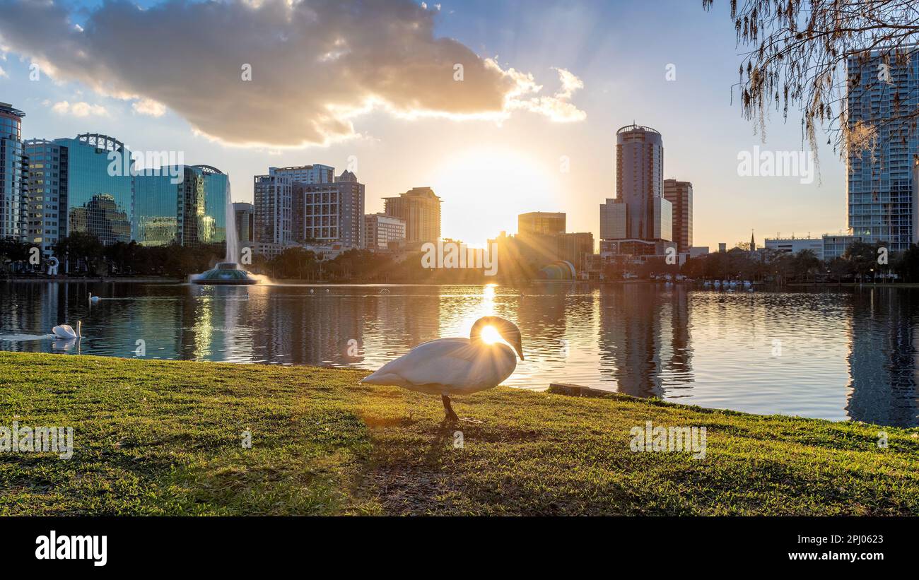 Orlando city skyline at sunset in Lake Eola, Florida, USA Stock Photo ...
