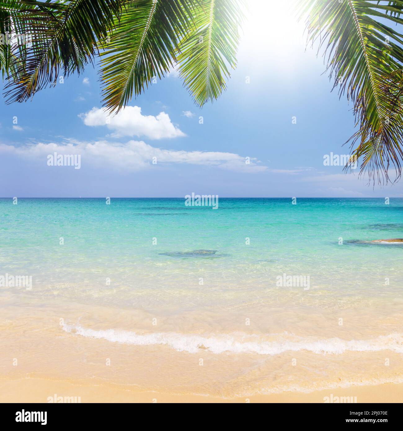 Sunny vacation landscape of tropical sea, palms and sky with clouds ...