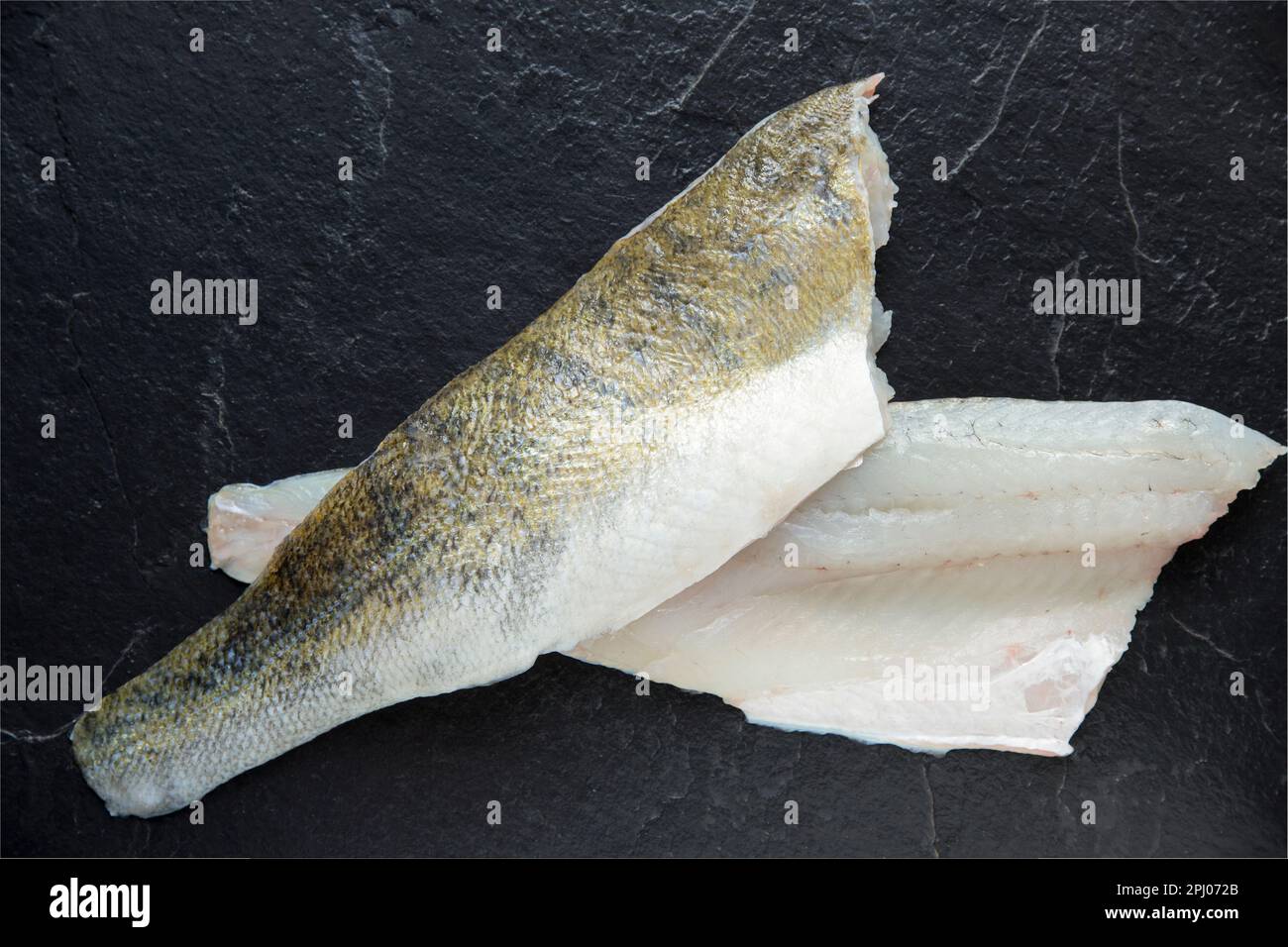 Two Zander fillets on a dark slate background. Zander were introduced ...