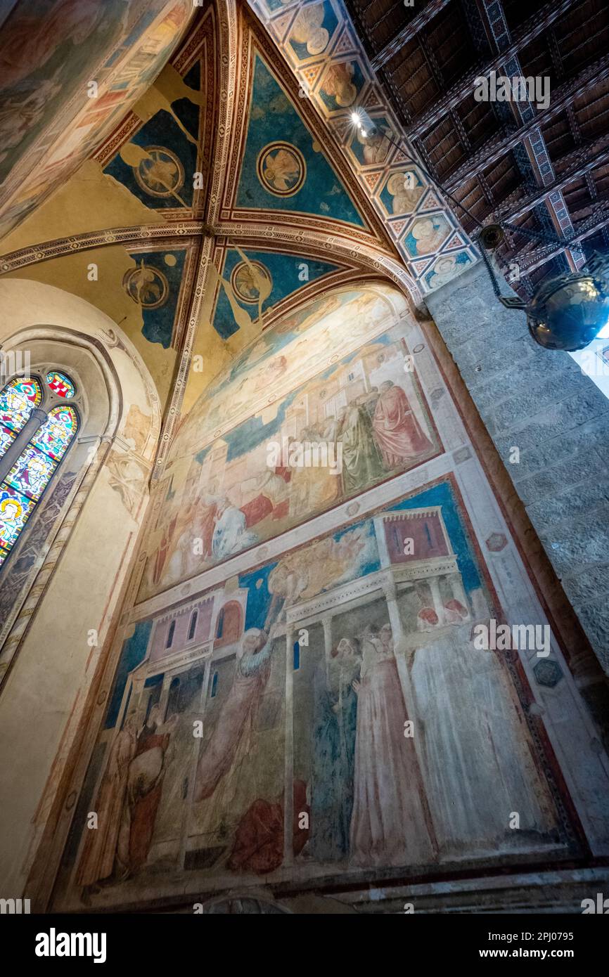 Giotto's frescoes in the Peruzzi chapel in Santa Croce, Florence Stock ...