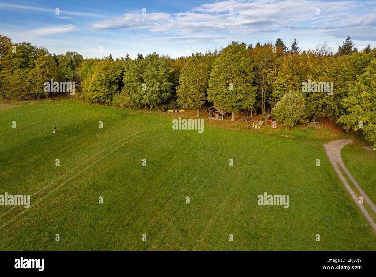 Green forest edge hi-res stock photography and images - Alamy