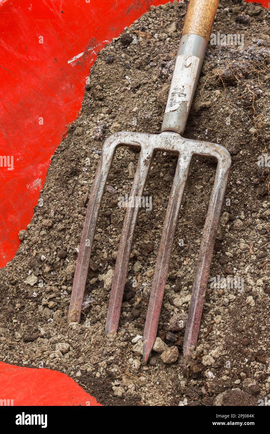 Pitchfork in red wheelbarrow filled with dirt in backyard garden in ...