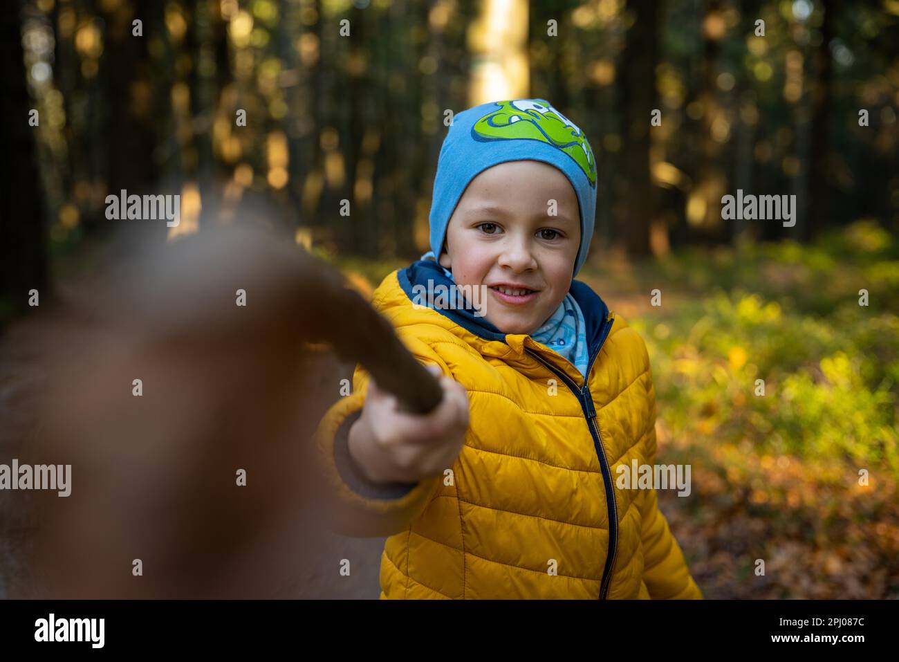 The little kid is walking the mountain trail. Fall season, Poland ...