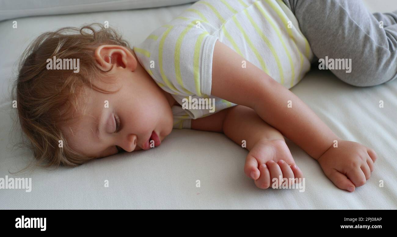 Cute baby sleeping slouched in sofa Stock Photo - Alamy