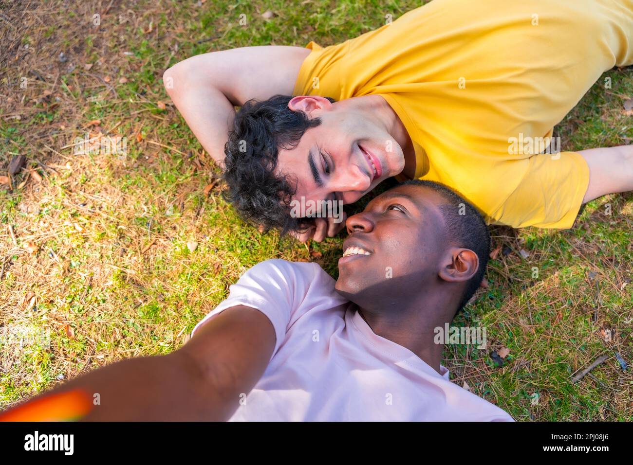 Portrait of a couple of multi-ethnic men in a park, lgbt concept, lying ...