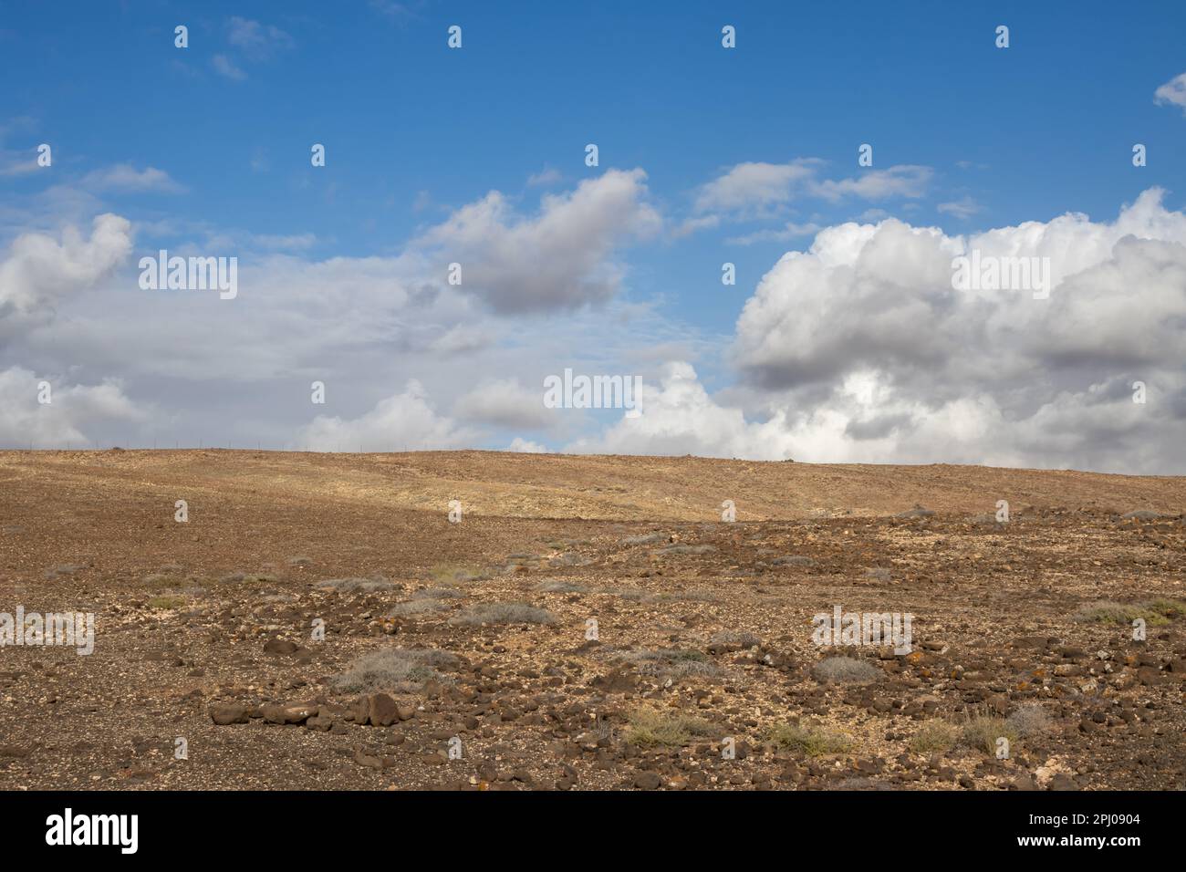 Dry land with many stones and rocks and some plants in the winter, in ...