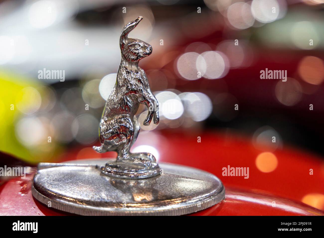 Hare as radiator mascot, bonnet of a vintage car of the make Alvis ...