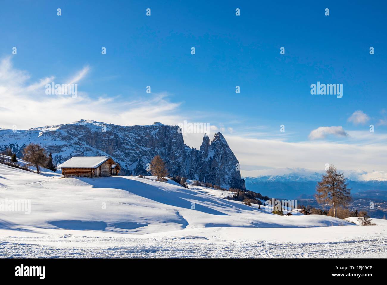 Ski area Alpe di Siusi in winter, Mount Sciliar, Ortisei, Val Gardena ...