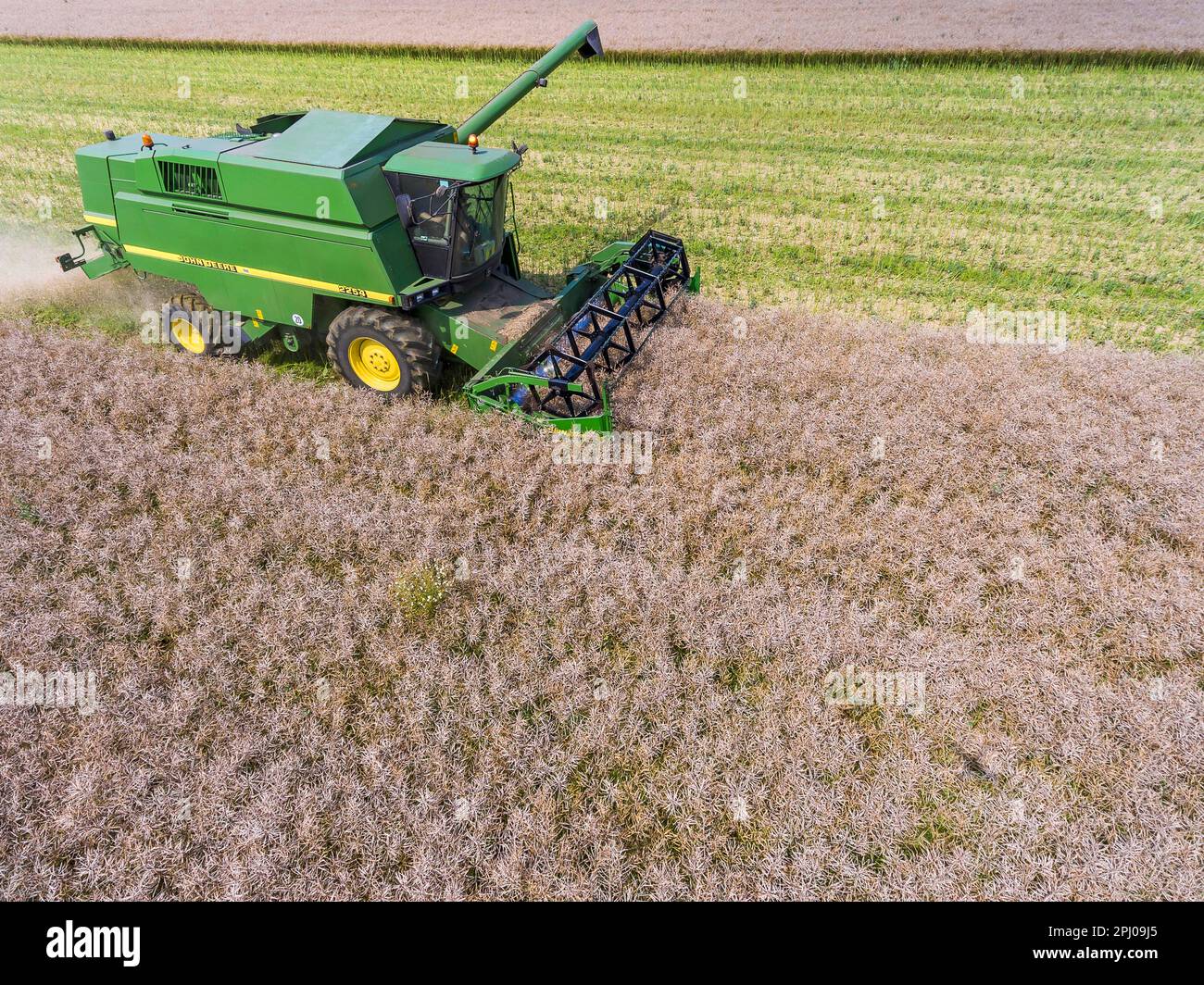 Grain harvest, combine harvester threshing, Heroldstatt, Baden ...