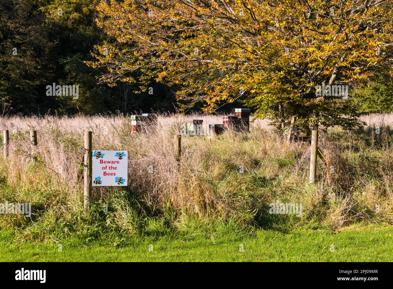 Beehives near Castle Combe, Wiltshire, Cotswolds, England Stock Photo ...